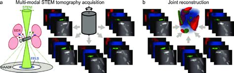 Basic Principles Of Multi Modal Stem Tomography A Simultaneous Download Scientific Diagram
