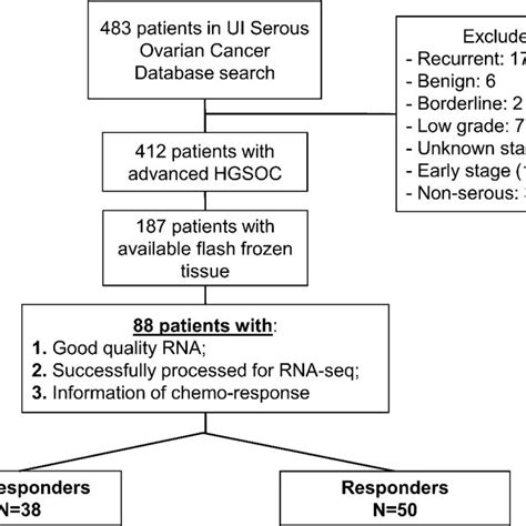 Selection Criteria For Patients In Clinical Prediction Analysis