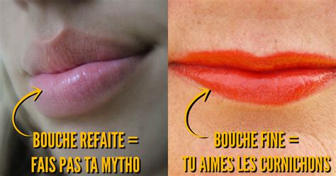 Top 12 Des Différents Types De Bouches En Illustrations Et Ce Que ça