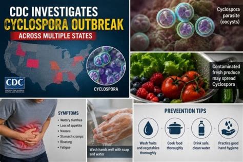 Cdc Cyclospora Outbreak And Its Impact On Health