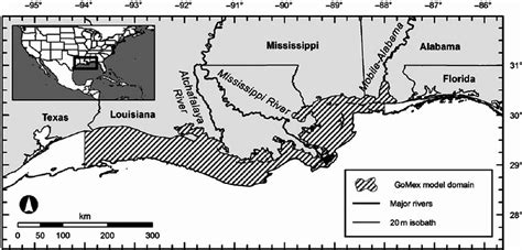 spatial domain hashed area of the northern gulf of mexico foodweb