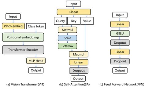 conventional vit structure and its components a a schematic diagram