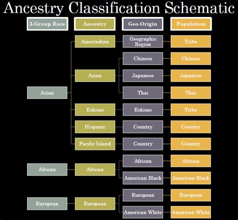 Ancestry Estimation Reflection Michigan State University