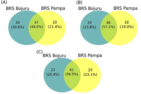Venn Diagram Comparing The Number Of Cis Elements Identified In The Download Scientific Diagram