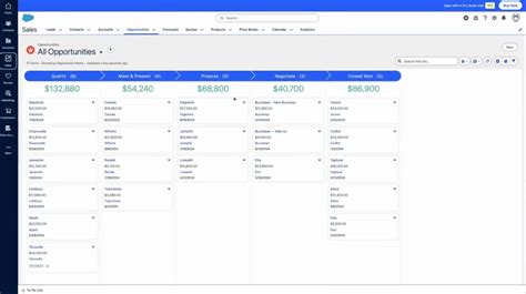 Salesforce Pro Suite For Small Business Guide