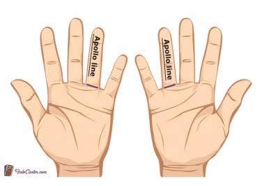 Palm Reading Guide How To Read Palms And Understand Your Personality YourTango