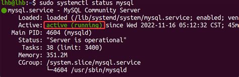 Installing Lamp Server On Localhost On Ubuntu