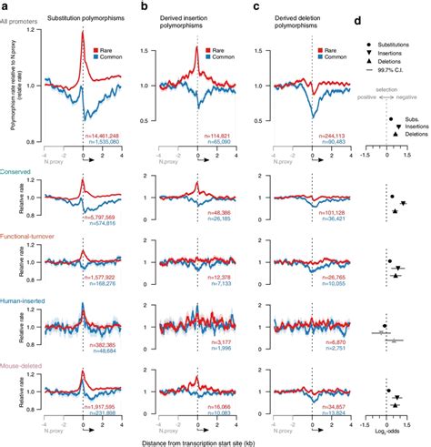 Relating Evolutionary History To Contemporary Selective Constraint On