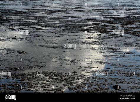 The Wadden Sea In The Netherlands During Low Tide Dramatic Seascape With Clouds And Reflections