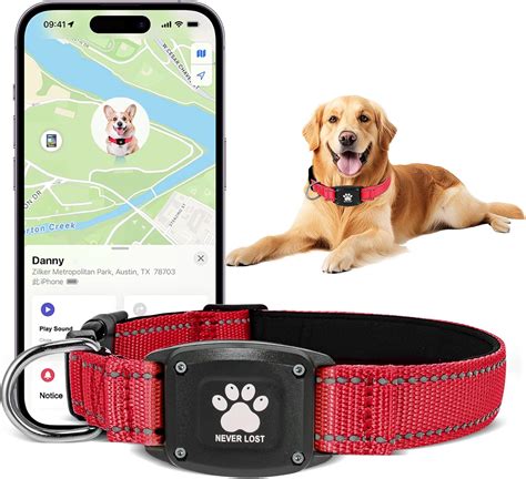 Myiwb Rastreador Gps De Collar De Perro 2 En 1 Collar