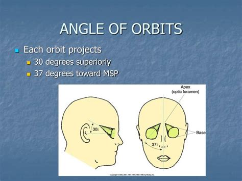 PPT Radiography Of The Orbits PowerPoint Presentation ID 5669687