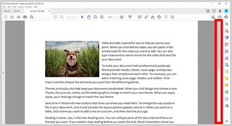 How To Use Automatic Scrolling In Adobe Acrobat And Acrobat Reader Pc