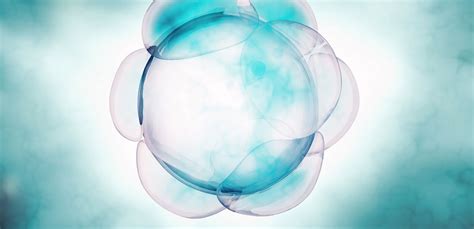 IVF Fertility Treatments In Ontario Generation Fertility