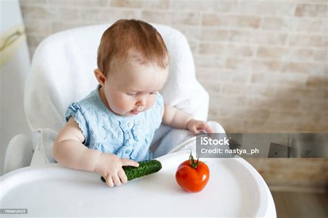 야채를 먹는 아기 화창한 부엌에서 어린 소녀 손에 녹색 오이 아이 들을 위한 건강 한 영양 어린 아이를 위한 간식 또는 아침 식사 복사 공간 이유식에 대한 스톡 사진 및