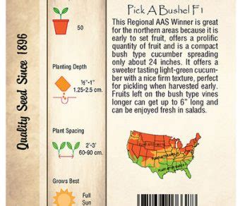 Cucumber Pick A Bushel F1 The Page Seed Company Inc