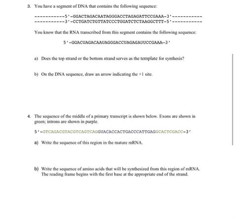Solved 3 You Have A Segment Of Dna That Contains The