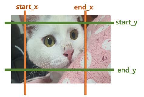 03 Opencv 영상처리 Roi복사본 Yerim Oh