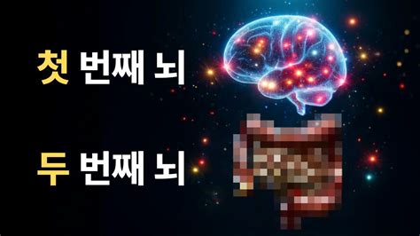 당신의 뇌는 두 개다 Youtube
