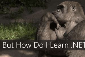 But How Do I Learn ASP NET CodeProject