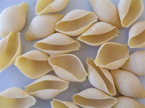 Cheesy Beef Stuffed Pasta Shells The Cooking Foodie