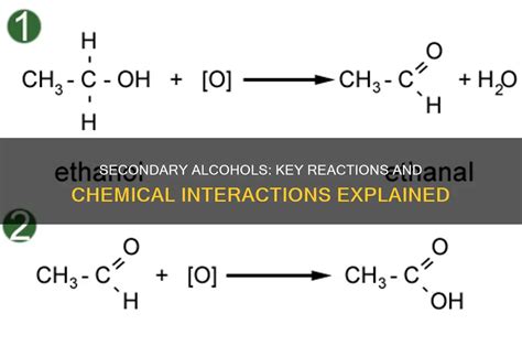 Secondary Alcohols Key Reactions And Chemical Interactions Explained