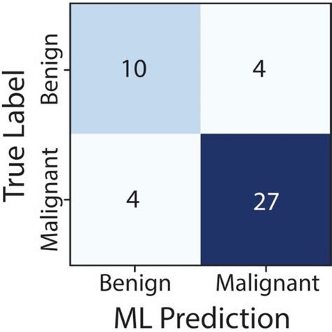 Confusion Matrix For A Random Forest Machine Learning Classifier