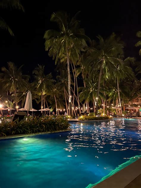 필리핀 보홀 4박 5일 자유여행 일정 총정리 및 추천 코스 다이빙 포함 네이버 블로그