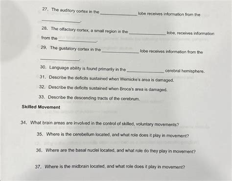 Solved 27 The Auditory Cortex In The 28 The Olfactory