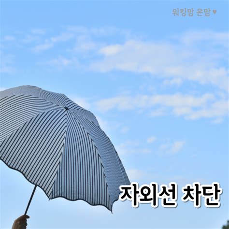 자외선차단마스크 얼굴 햇빛 가리개 여성 골프 스포츠 쿨 마스크 모델로 다이소 자외선 차단 추천 네이버 블로그