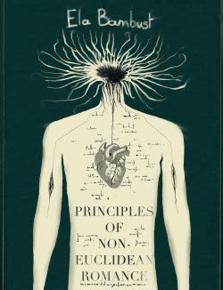 Principles Of Non Euclidean Romance Scribble Hub