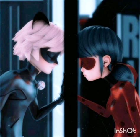 کلیپ غمگین دختر کفشدوزکی و گربه سیاه