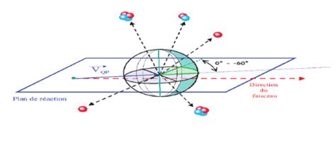 angular domains with respect to the reaction plane and beam direction