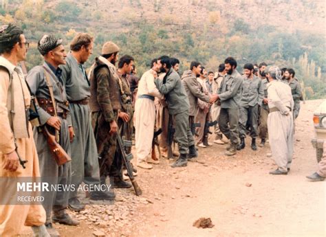 تصاویر دیده نشده از شهید همت از نوجوانی تا جوانی شهید همت همشهری آنلاین