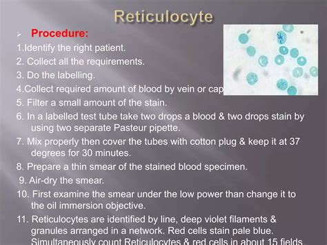 Reticulocyte Pptx