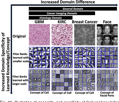 Figure 10 From Unsupervised Transfer Learning Via Multi Scale