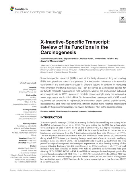 Pdf X Inactive Specific Transcript Review Of Its Functions In The Carcinogenesis