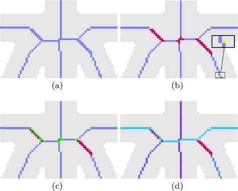 The Skeleton Branches Extraction Procedure A Initial Skeleton Pixels