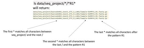 Introduction To The Cli