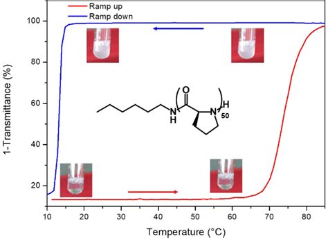 Memory Effect In Thermoresponsive Proline‐based Polymers Badreldin 2022 Angewandte Chemie