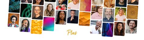 Our Biggest Update Ever For Insight Timer Plus Subscribers By Insight