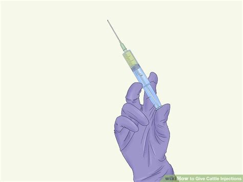 6 Ways To Give Cattle Injections Wikihow
