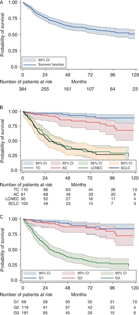 Tumor Grading System Semantic Scholar