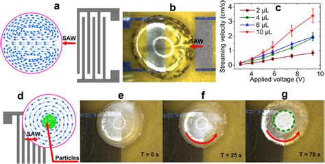 A Schematic Drawing Of Acoustic Streaming Inside A Liquid Droplet B Download Scientific