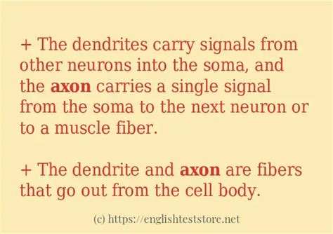 Axon How To Use EnglishTestStore Blog