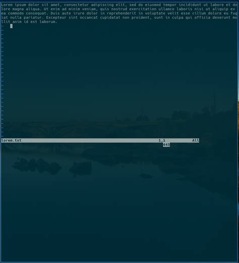on opening neovim in a new window in i3 only about half of the window
