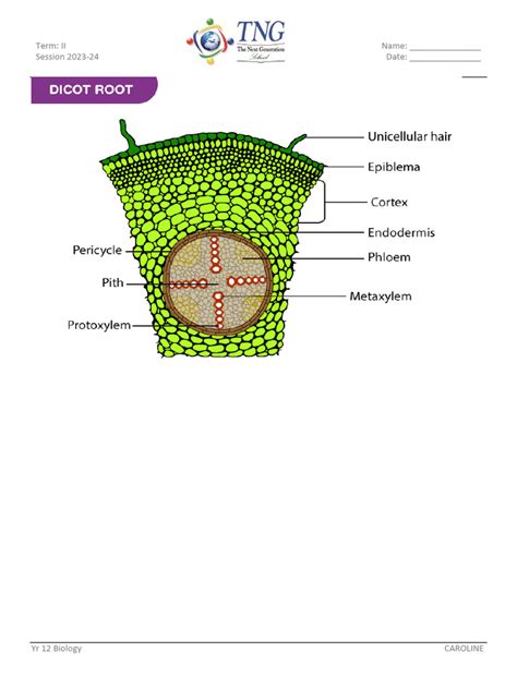 Practical Diagrams Pdf