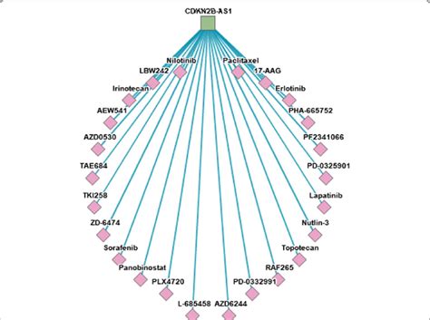 Drug Lncrna Network The Top 30 Drug Lncrna Pairs Were Used To Build