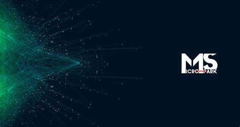 Microspark Infotech Pvt Ltd Linkedin