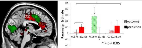 Figure 1 From Distinct Regions Of Anterior Cingulate Cortex Signal