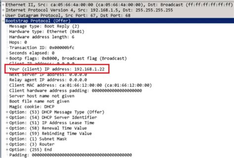 how dhcp works dhcp dora process with packet capture getlabsdone